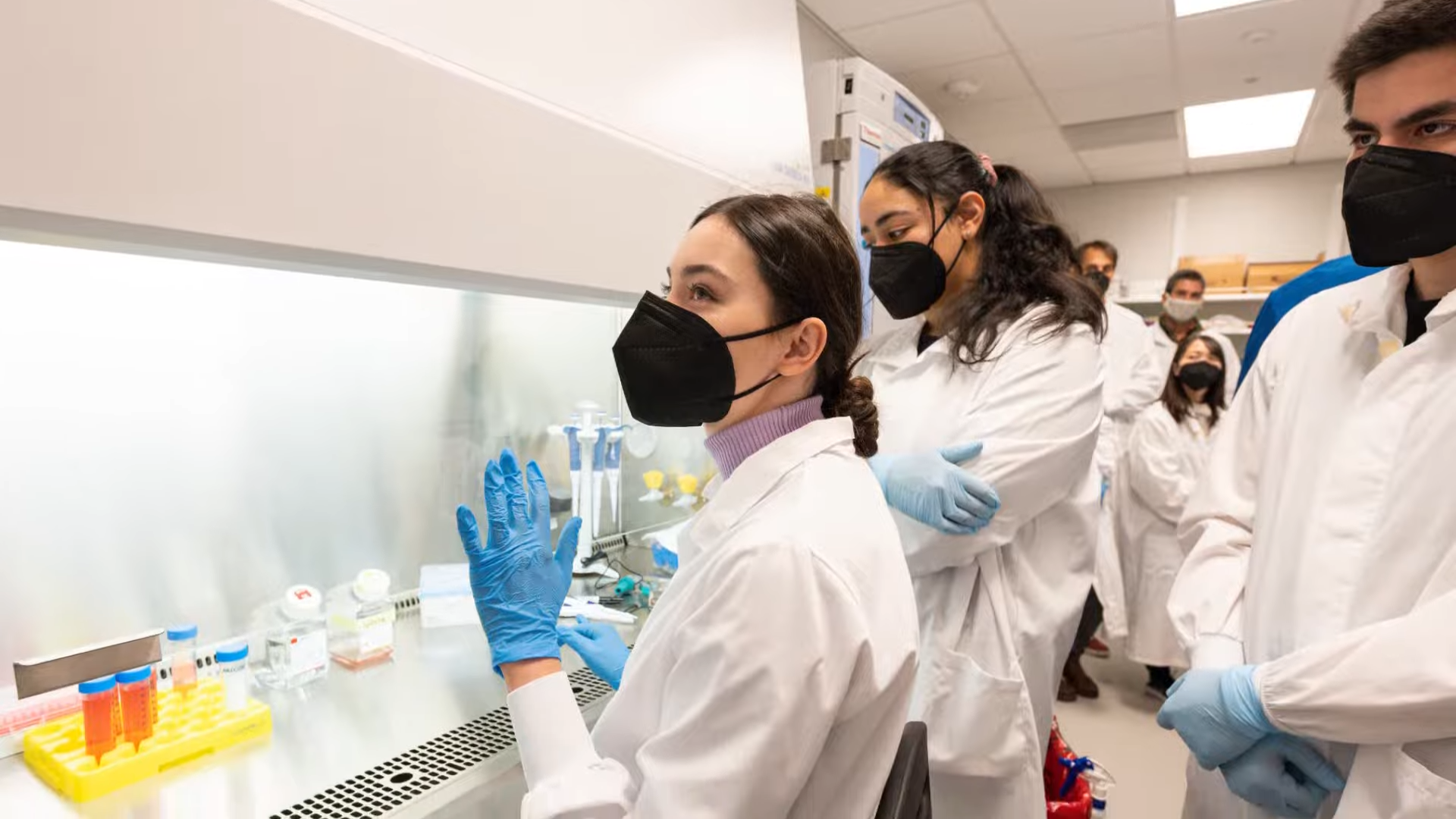 Alana attends the Stanford Brain Organogenesis Workshop | Wright Lab Neurogenomics Research